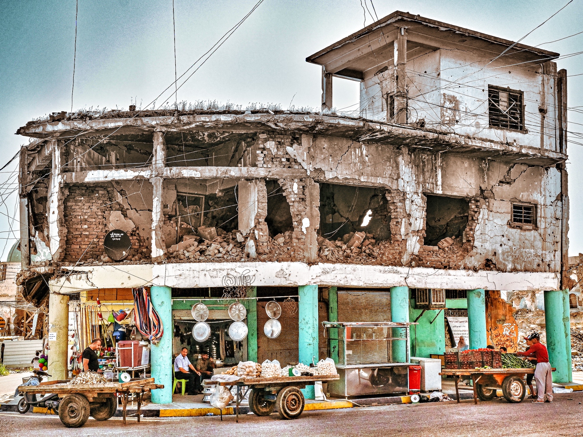 Rebuilding underserved communities through business - Trees & Roots